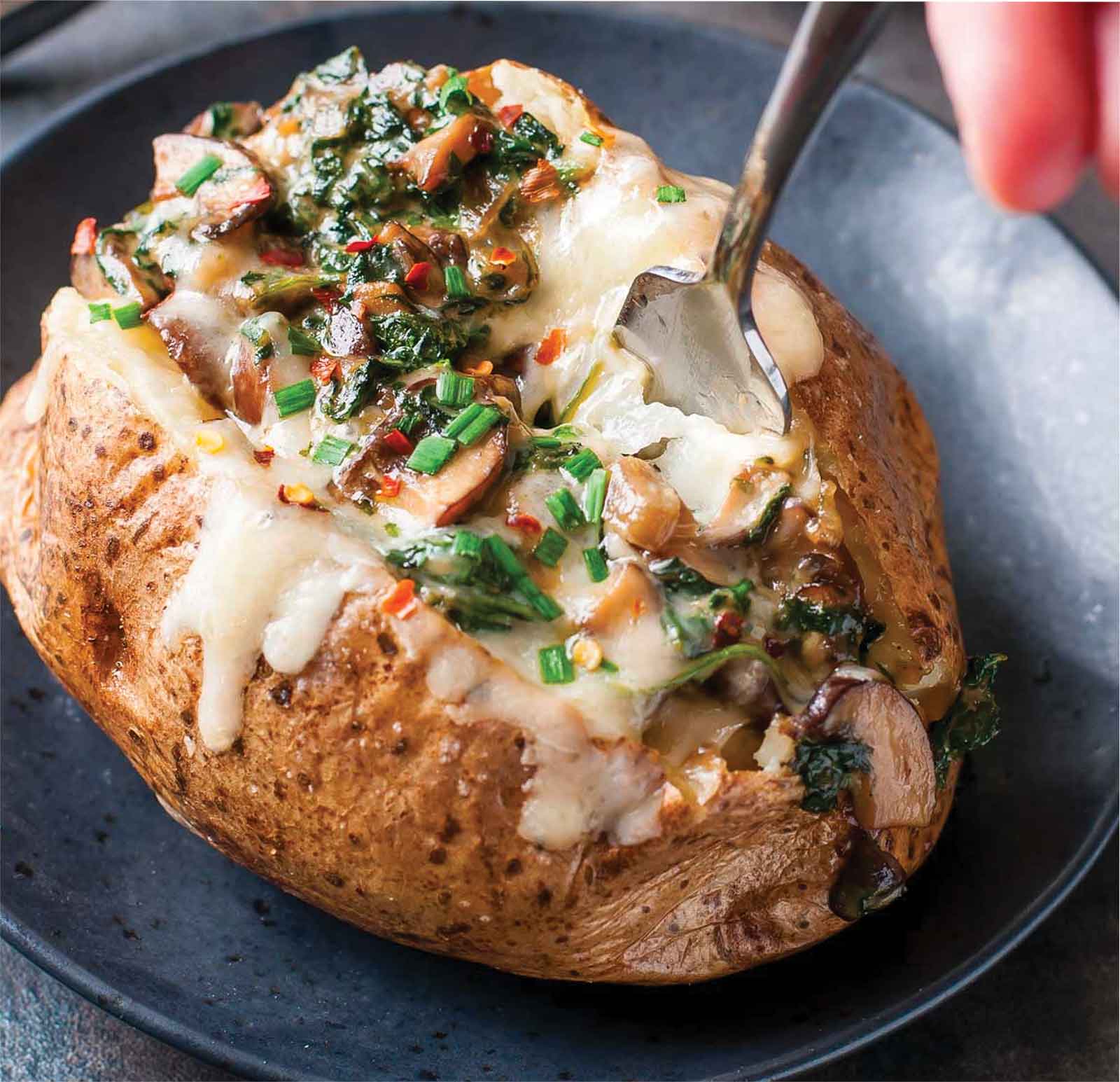 Spuds Potato Bar – Homestyle fast food restaurant, specialized in baked ...